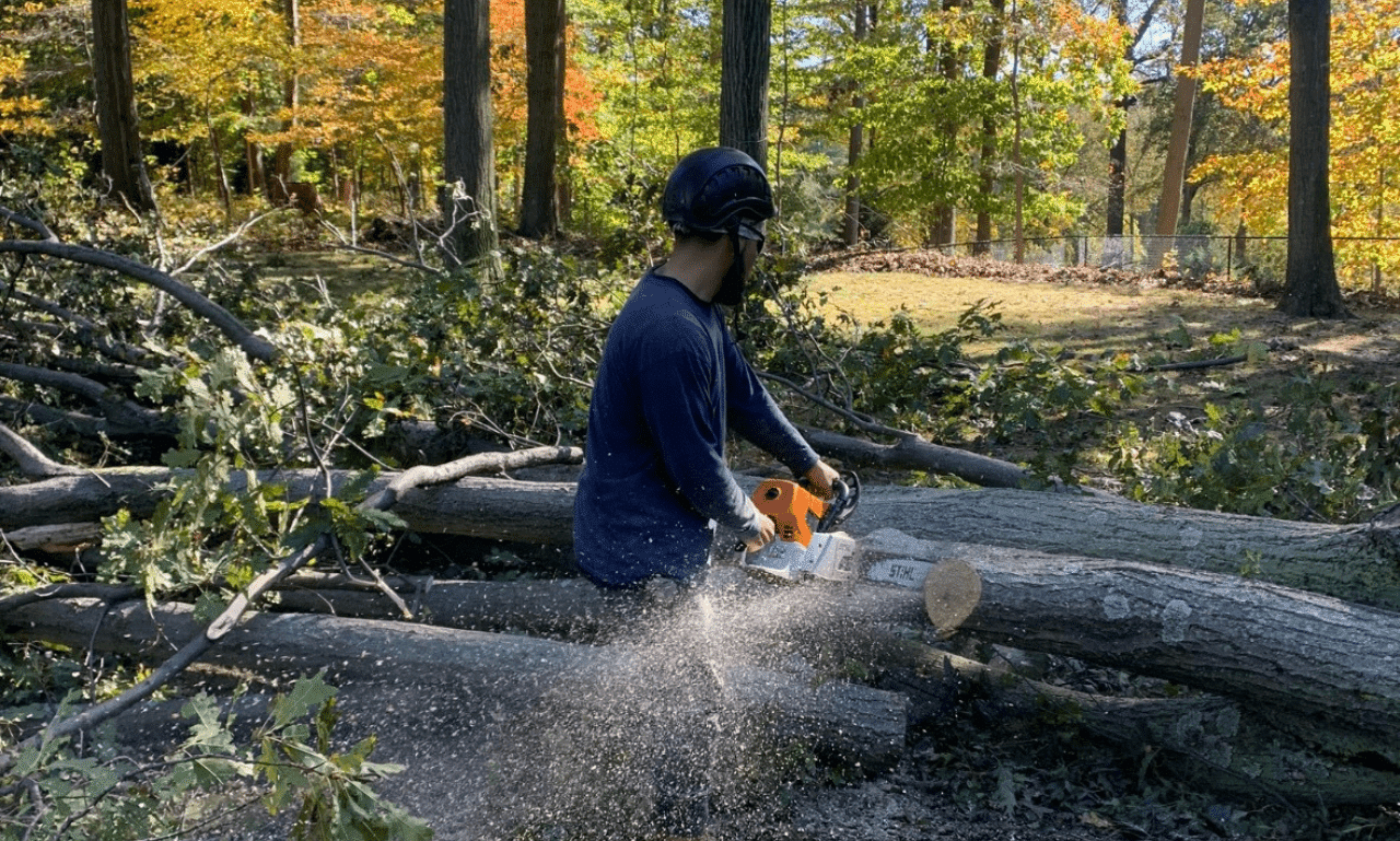 About Us – JRS TREE SERVICE